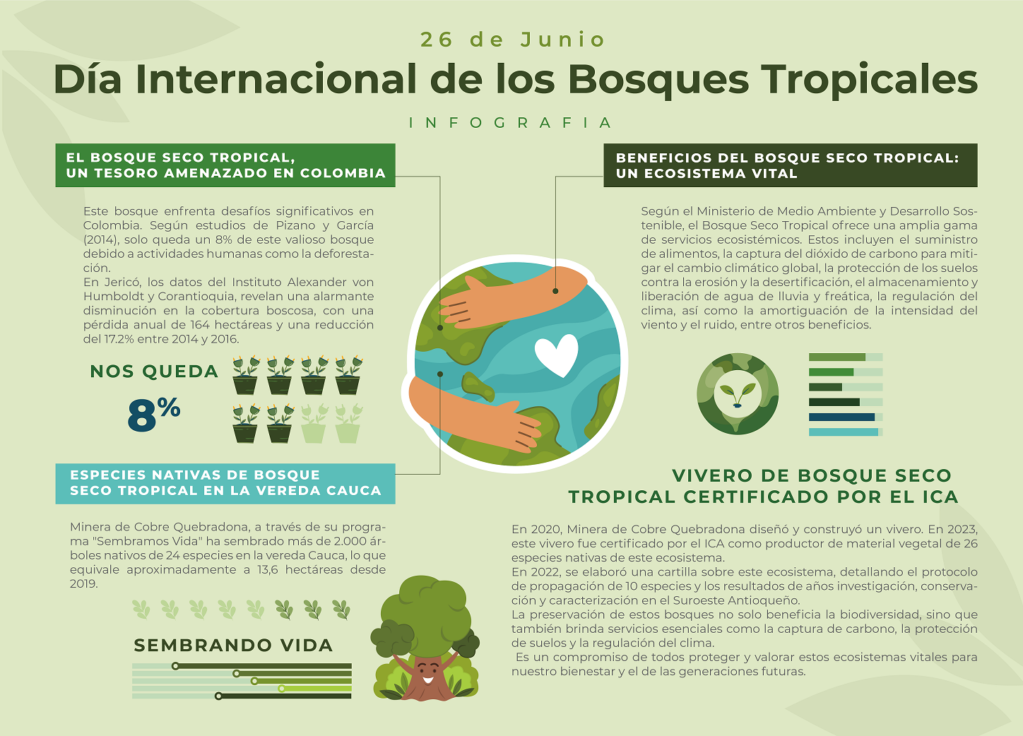 26 de junio: Día Internacional de los Bosques Tropicales – Aldea de Piedras